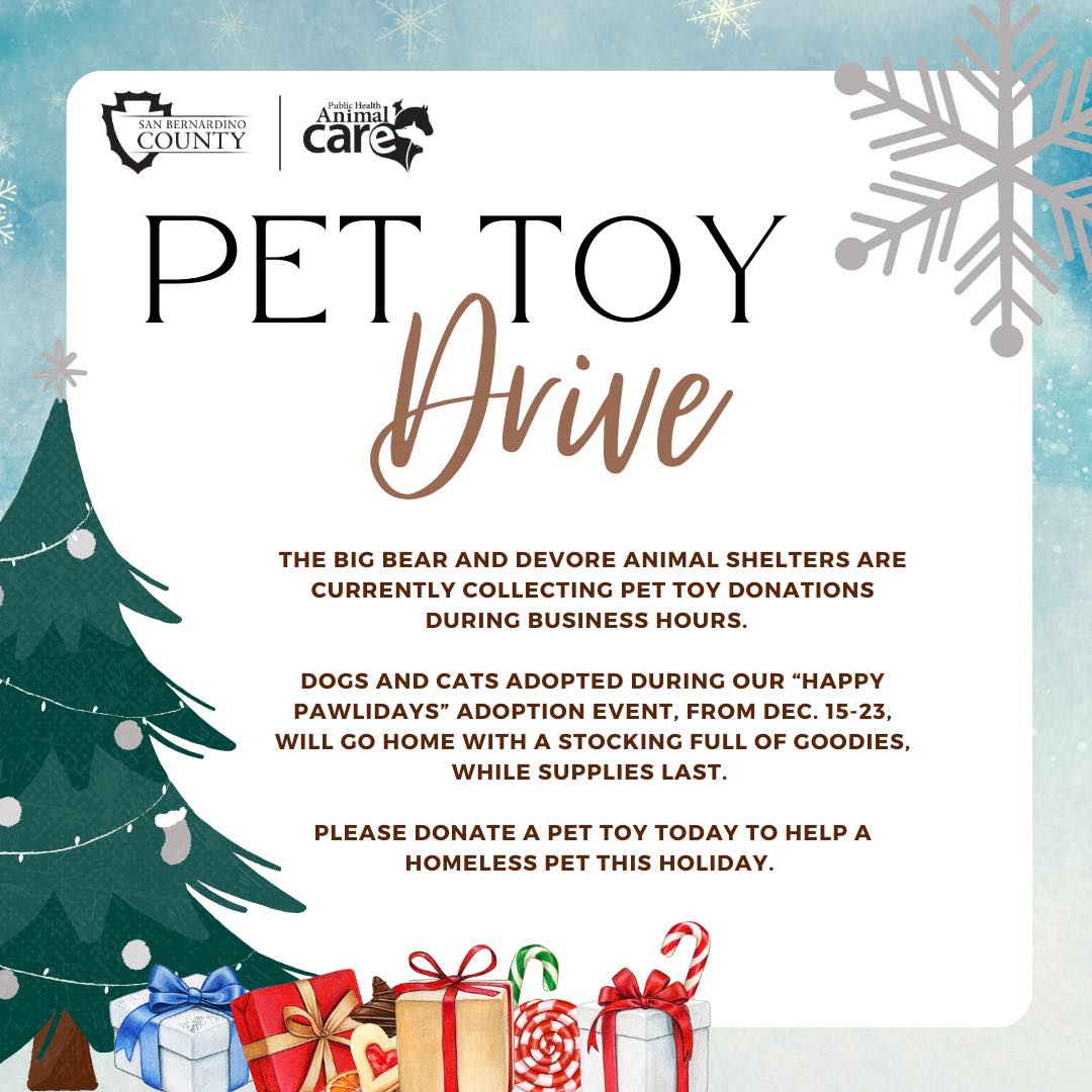 Things to do in San Bernardino County – Welcome to San Bernardino County