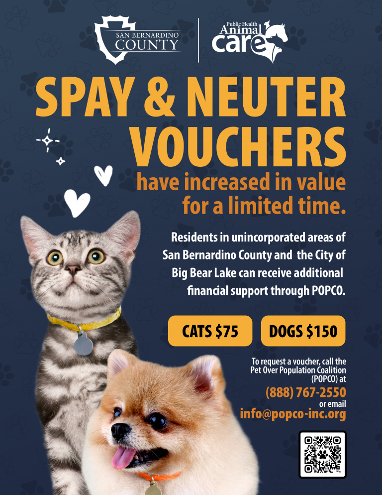 San Bernardino County provides affordable spay and neuter vouchers to combat pet overpopulation ...