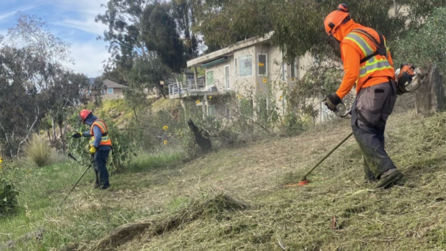 Code Enforcement - Category - Welcome to San Bernardino County