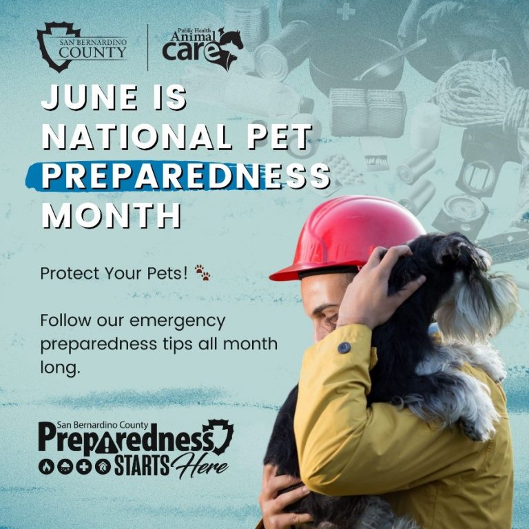 Animal Care, Office of Emergency Services, Public Health join forces to ...