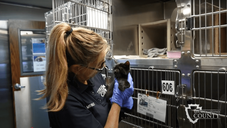 County Animal Care celebrates Animal Control Officer Appreciation Week ...