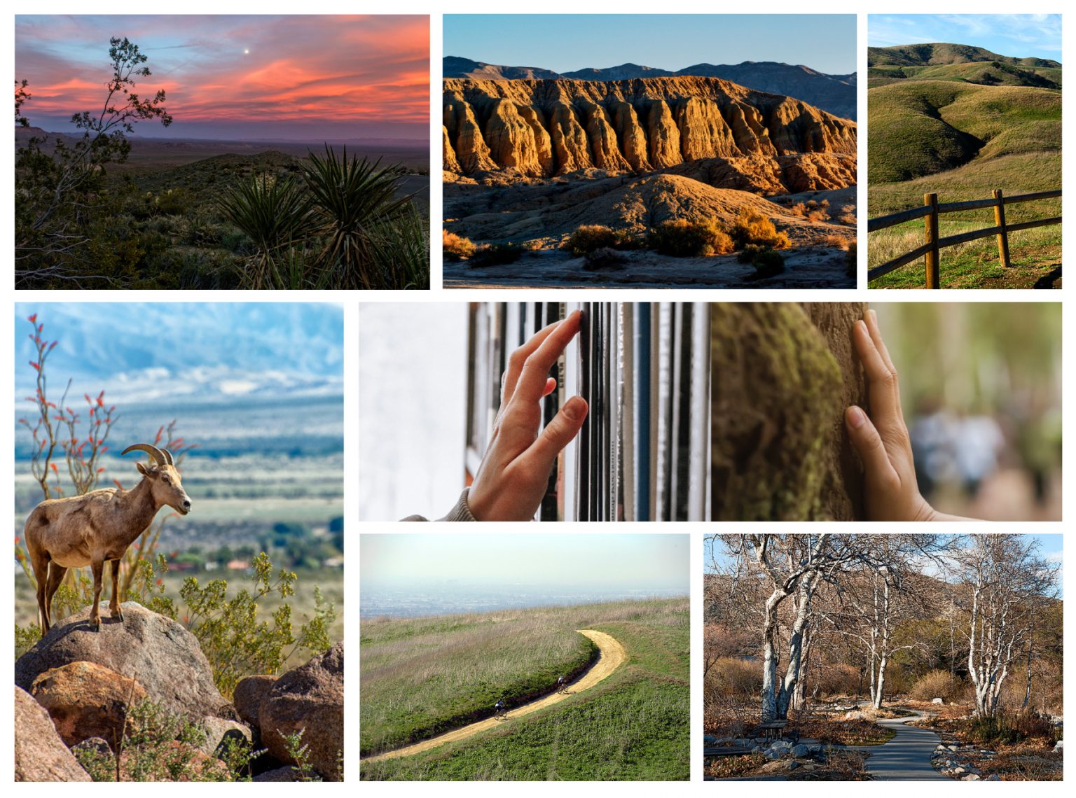 Borrow a free state parks day-use pass with your County Library card ...