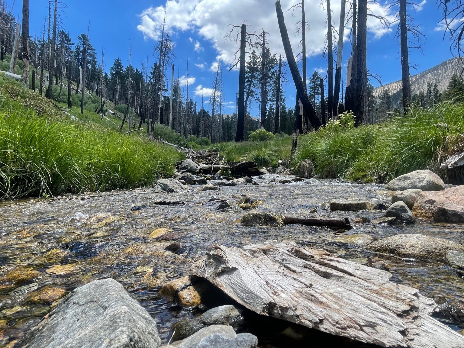 San Bernardino County destinations: Santa Ana River on the South Fork ...